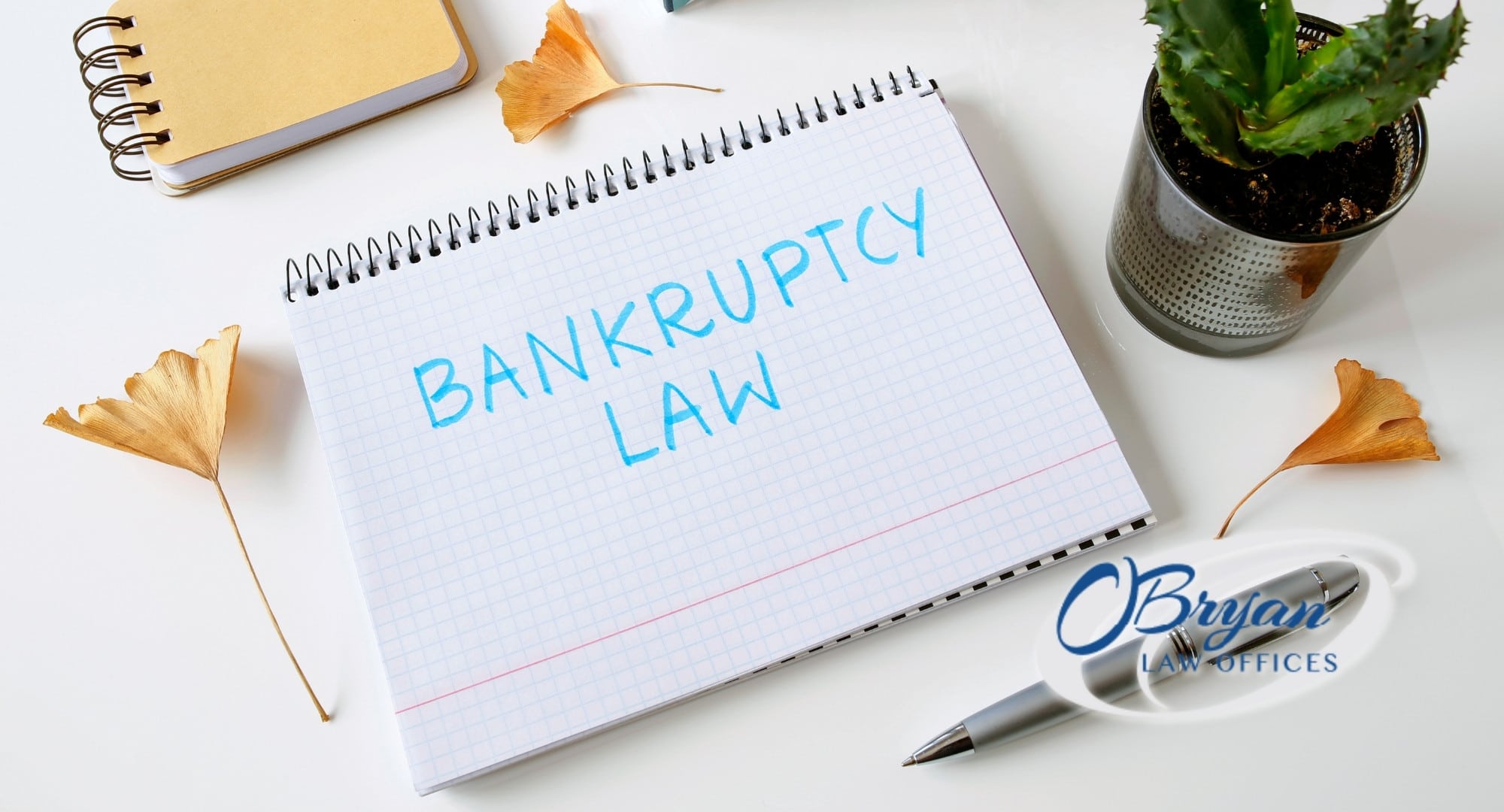 What We Do | Bankruptcy Help at O'Bryan Law Offices